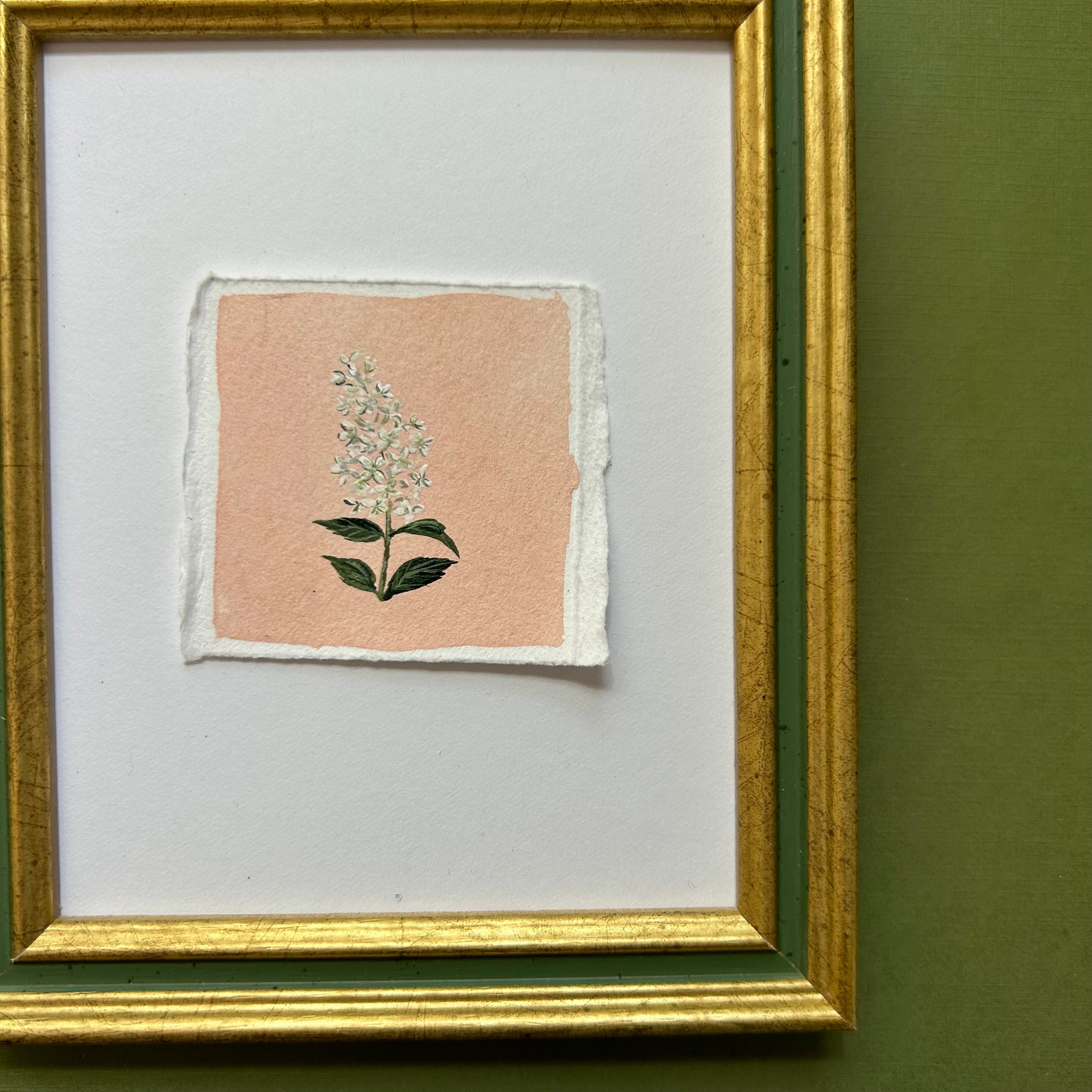 Limelight Hydrangea: Summer Souvenirs – Riley Sheehey