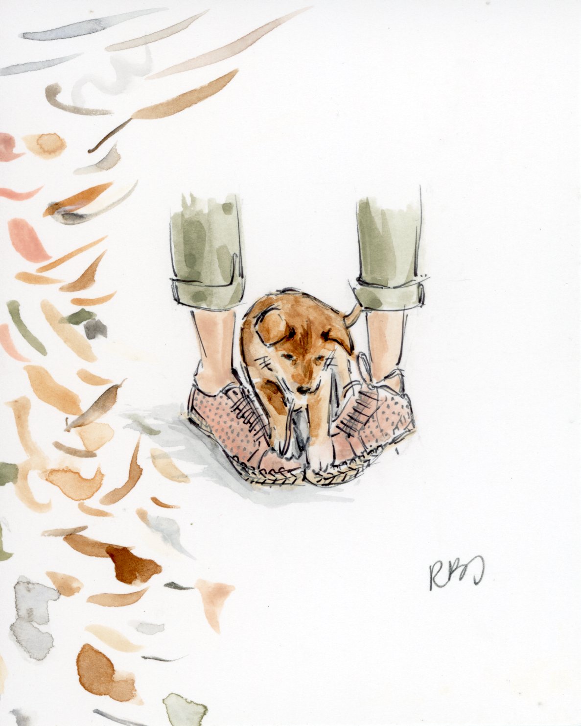 Shy Puppy – Riley Sheehey