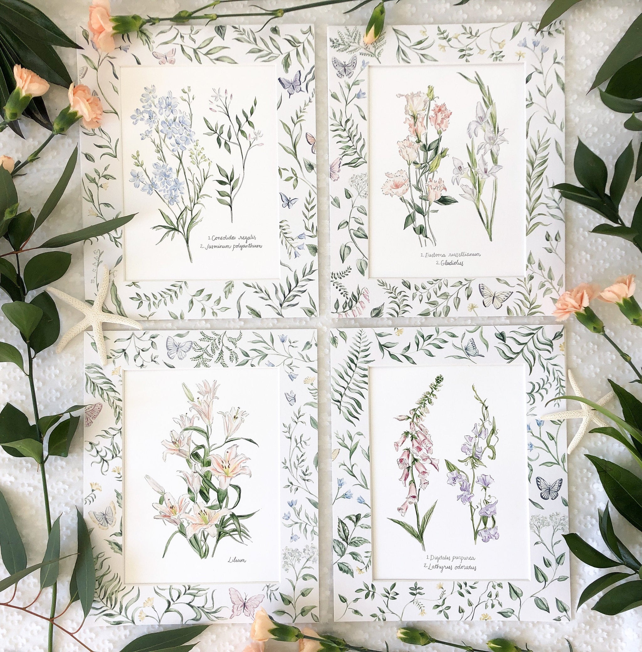 Botanical Series – Riley Sheehey