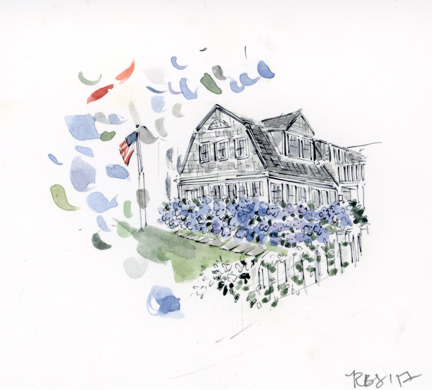 Cape Hydrangeas – Riley Sheehey