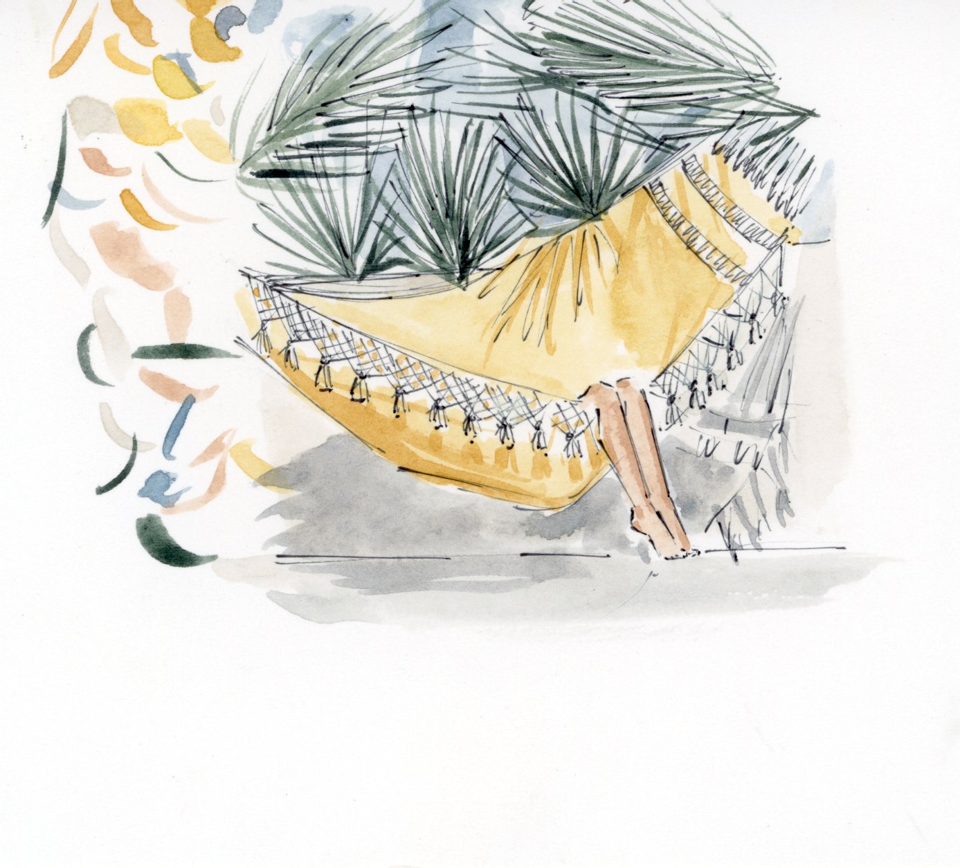 Cape Hydrangeas – Riley Sheehey